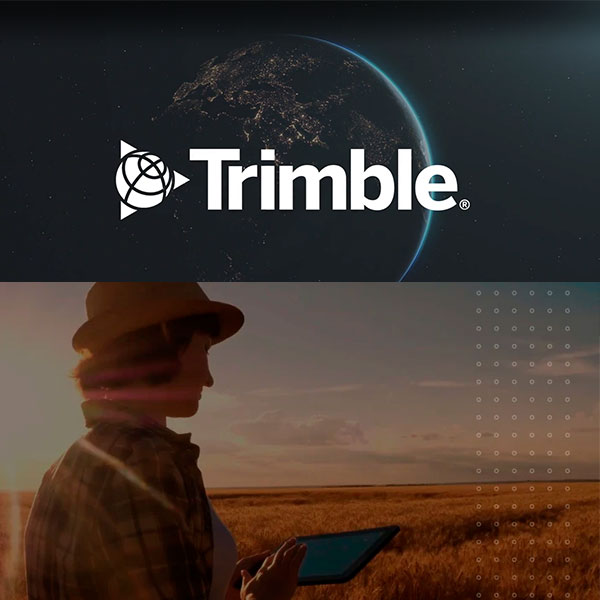 Work – Elizabeth Ellis